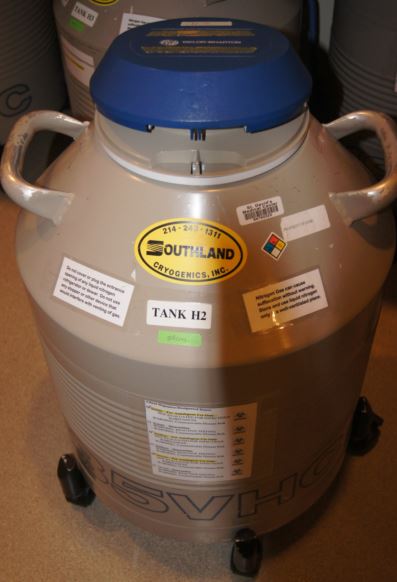 Female Fertility Options - IVF - Egg Freezing - IVF with ICSI