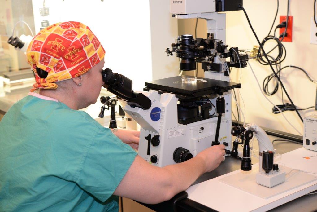 About Our Austin Fertility Center - Semen Analysis - Egg Freezing